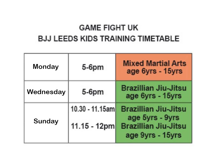 Kids BJJ & Mixed Martial Arts for Kids Leeds | Game Fight BJJ UK